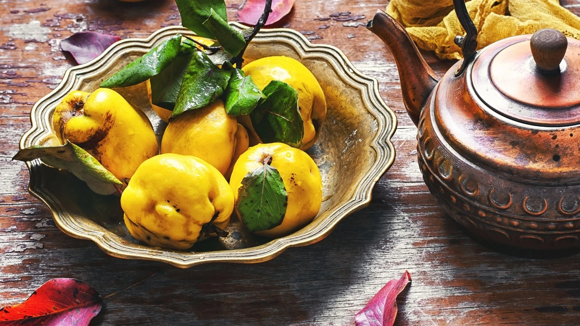 Ayva yaprağının muhteşem faydaları, öksürüğü dindiriyor, ishali kesiyor ...