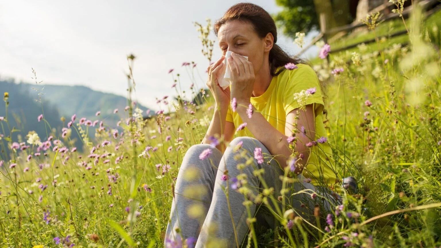 Bahar alerjisine iyi gelen Dr. İbrahim Saraçoğlu’ndan 3 bitkisel tedavi ...