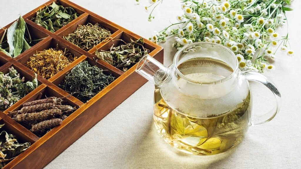 Bitki çayı kaç kalori? Şekerli ve şekersiz bitki çaylarının kalorileri ...