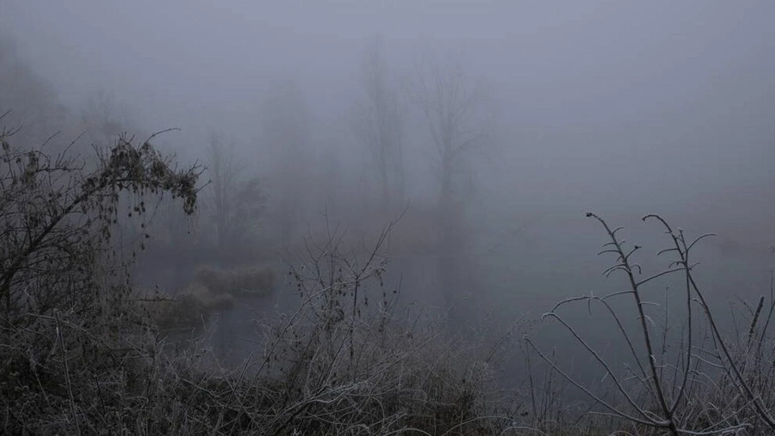 Meteoroloji'den sis ve pus için vatandaşları uyardı: 11 Ekim 2024 hava ...