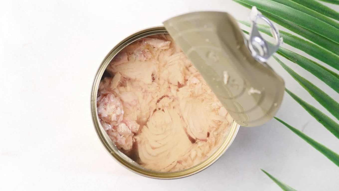 Ton balığında omega-3 yağ asidi var mı? Ton balığıyla ne tüketilir ...