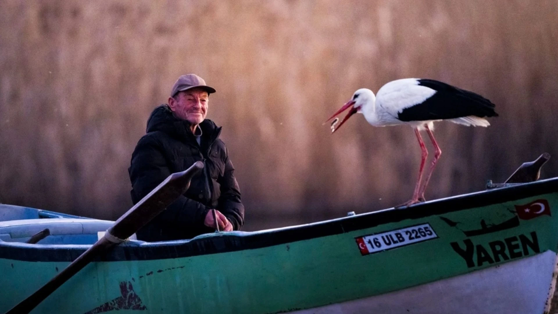 Yaren Leylek olayı ne? Yaren Leylek hangi şehirde? » Mavi Kadın